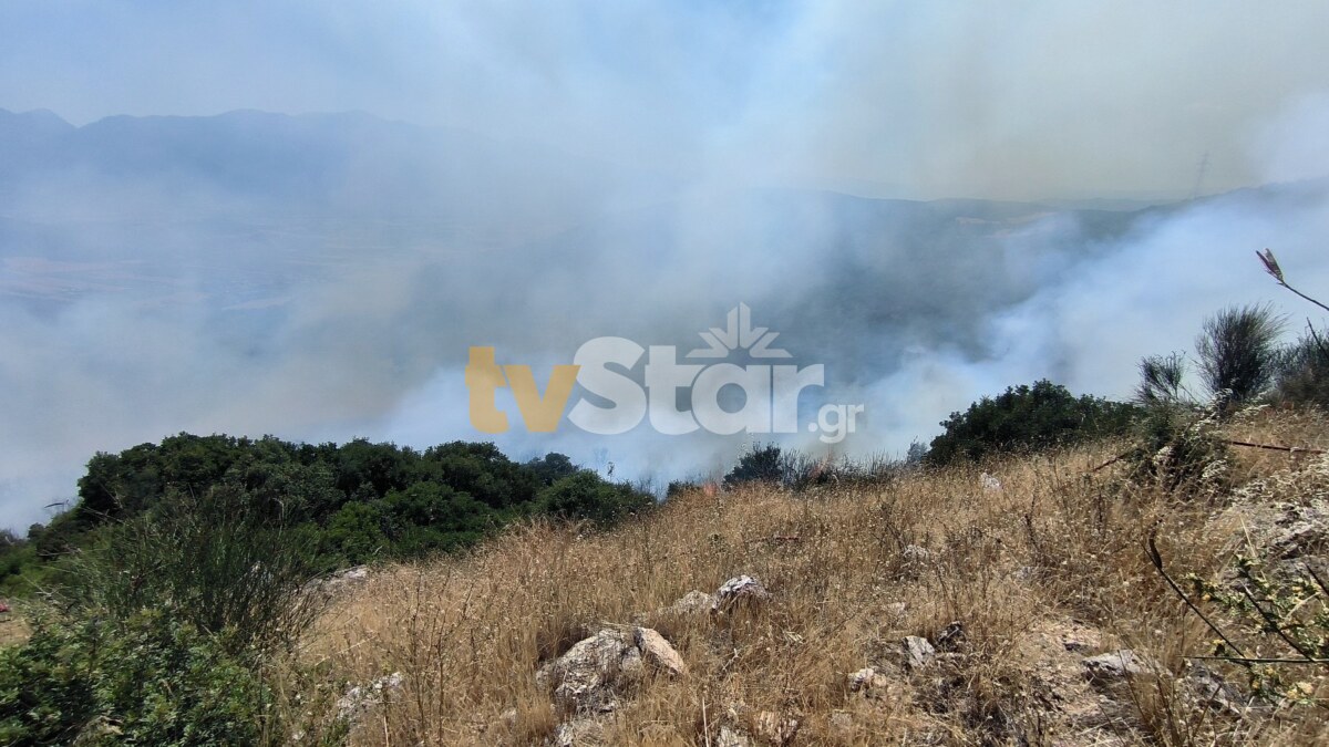 Φωτιά στη Λαμία – Στη «μάχη» και εναέρια μέσα – ΦΩΤΟ - EnterMessinia.gr