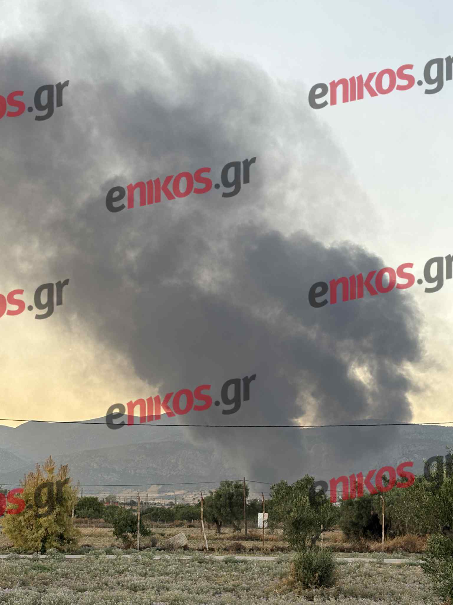 Φωτιά σε χώρο εργοστασίου στα Μέγαρα: Ήχησε το 112 – «Κλείστε πόρτες ...